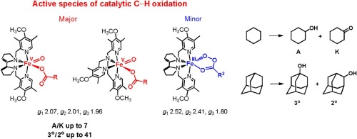 On the nature of the active intermediates in iron-catalyzed oxidation ...