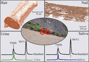 Antimony exposure and speciation in human biomarkers near an active ...