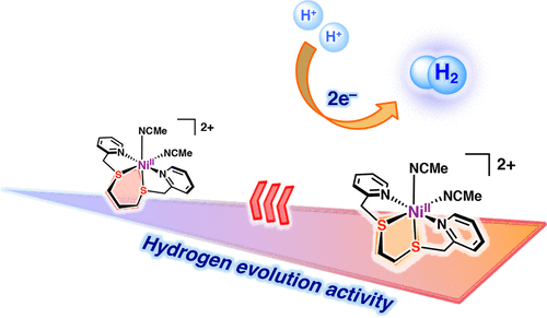 Mechanistic Insights into Homogeneous Electrocatalytic and ...