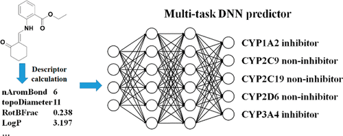 Prediction of Human Cytochrome P450 Inhibition Using a Multitask Deep Autoencoder Neural Network ...