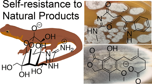 Self-Resistance of Natural Product Producers: Past, Present, and Future ...
