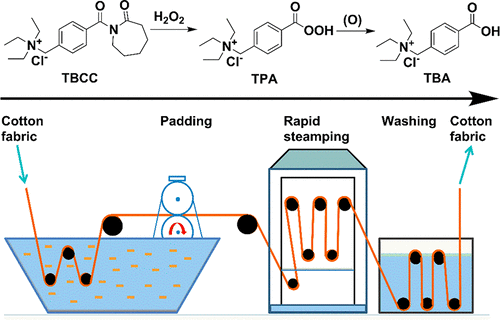 Establishing a Rapid Pad-Steam Process for Bleaching of Cotton Fabric ...