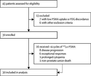 [177Lu]-PSMA-617 radionuclide treatment in patients with metastatic ...