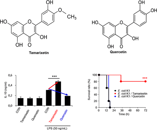Tamarixetin Exhibits Anti-inflammatory Activity and Prevents Bacterial ...