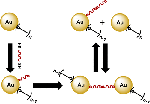 Dithiol-Induced Oligomerization of Thiol-Protected Gold Nanoclusters ...