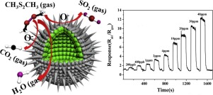 Preferentially epitaxial growth of β-FeOOH nanoflakes on SnO2 hollow ...