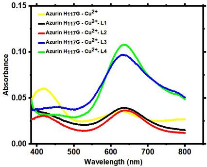 Electrochemistry of Azurin H117G in Complex with Molecular Wires on ...