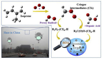 Effect of oligomerization reactions of criegee intermediate with ...