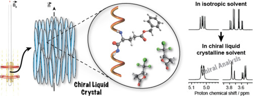 1H NMR analyses of enantiomeric mixtures using chiral liquid crystals,Current Opinion in Colloid ...