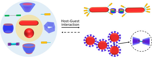Self-assembly of inorganic nanoparticles mediated by host-guest interactions,Current Opinion in ...