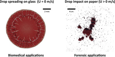 Wetting and spreading of human blood: Recent advances and applications ...