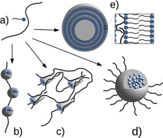 Polyelectrolyte-surfactant complexes (PESCs) composed of oppositely charged components,Current ...