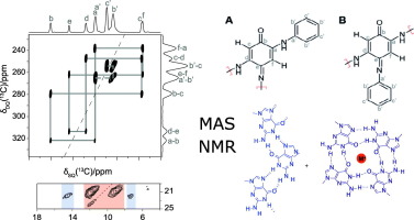 Advanced solid-state NMR methods for characterising structure and self ...