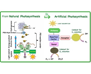 Solar energy conversion: From natural to artificial photosynthesis ...