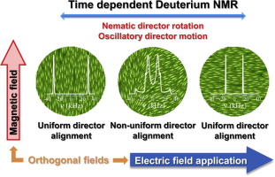 Deuterium NMR investigations of field-induced director alignment in ...