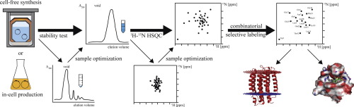Protein labeling strategies for liquid-state NMR spectroscopy using ...