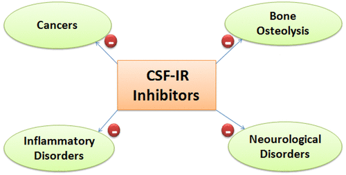 Recent Advances of Colony-Stimulating Factor-1 Receptor (CSF-1R) Kinase ...