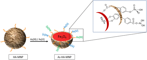 Kinetic and Mechanistic Evaluation of Inorganic Arsenic Species ...