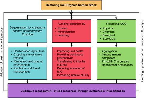 Digging deeper: A holistic perspective of factors affecting soil organic carbon sequestration in ...