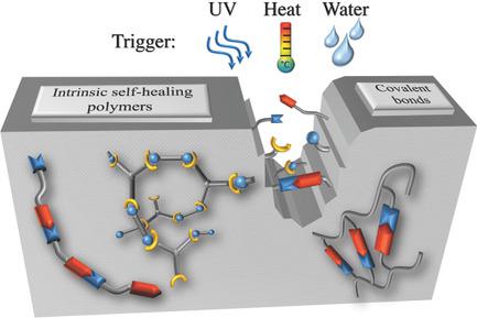 How to Design a Self‐Healing Polymer: General Concepts of Dynamic ...