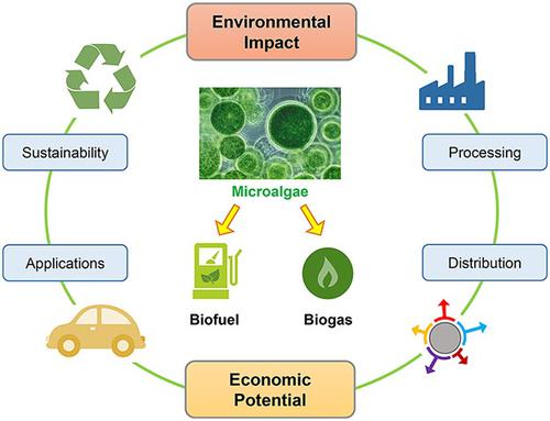 Analysis of Economic and Environmental Aspects of Microalgae Biorefinery for Biofuels Production ...