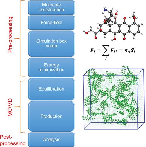 药物输送中的分子模拟：机遇与挑战,Wiley Interdisciplinary Reviews: Computational ...
