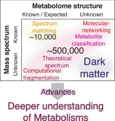 Advances in computational metabolomics and databases deepen the ...
