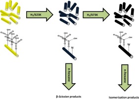 Semi-industrial studies of Tungsten-based catalyst for ...