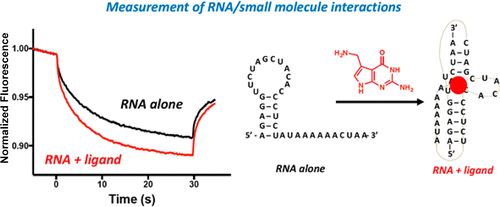 Measuring RNA-Ligand Interactions with Microscale Thermophoresis ...