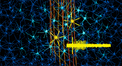 用于理解和调节大脑的类组织神经探针,Biochemistry - X-MOL