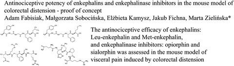 Antinociceptive potency of enkephalins and enkephalinase inhibitors in ...