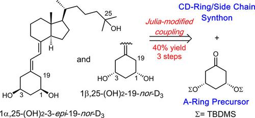 Enzymatic Desymmetrization of 19‐nor‐Vitamin D3 A‐Ring Synthon ...