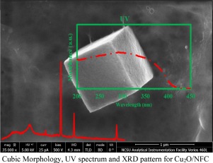 Synthesis and Characterization of Nano Fibrillated Cellulose/Cu2O Films ...