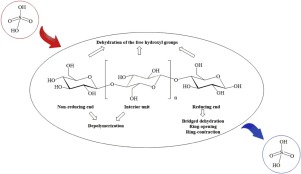 Catalytic mechanism of sulfuric acid in cellulose pyrolysis: A combined ...