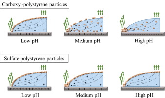pH-modulated self-assembly of colloidal nanoparticles in a dual-droplet inkjet printing process ...