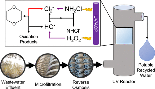 Photolysis of Mono- and Dichloramines in UV/Hydrogen Peroxide: Effects ...