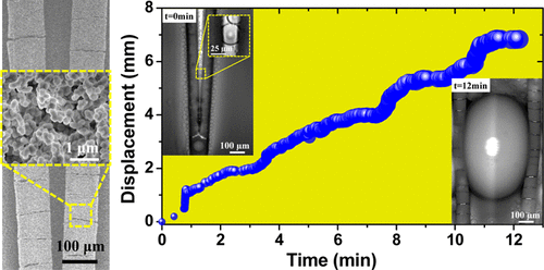 Directional Passive Transport of Microdroplets in Oil-Infused Diverging Channels for Effective ...