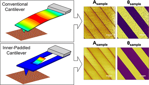 Ultimate Decoupling between Surface Topography and Material Functionality in Atomic Force ...
