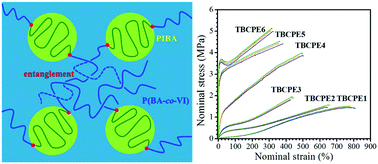 Synthesis, order-to-disorder transition, microphase morphology and ...
