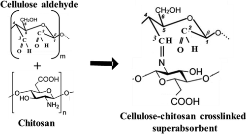 Natural Cellulose-Chitosan Cross-Linked Superabsorbent Hydrogels with ...