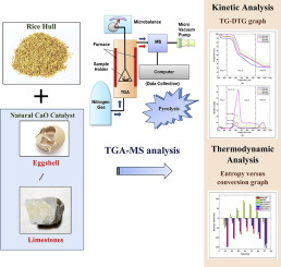 Kinetics and thermodynamic analysis in one-pot pyrolysis of rice hull ...
