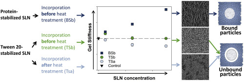 Impact of the incorporation of solid lipid nanoparticles on β ...