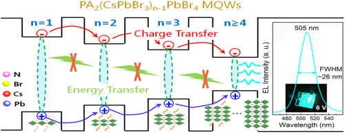 Charge-transfer versus energy-transfer in quasi-2D perovskite light ...