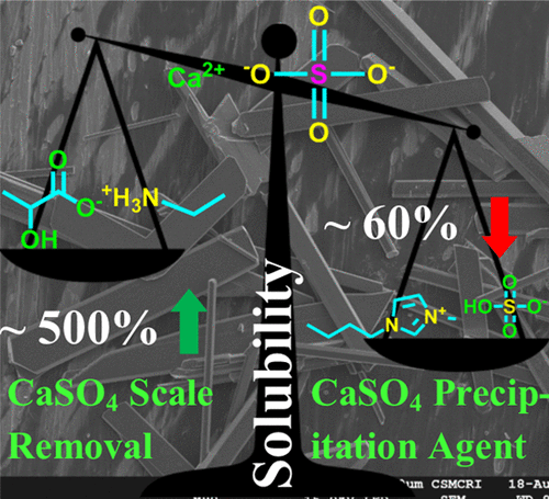 Effect of Ionic Liquid Additives on the Solubility Behavior and ...