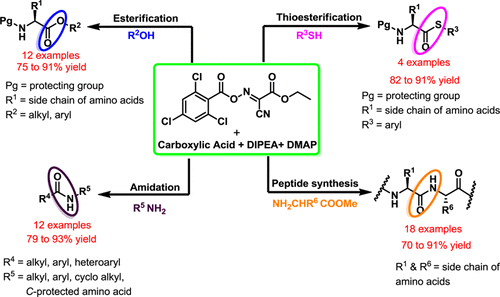 (E)-Ethyl-2-cyano-2-(((2,4,6-trichlorobenzoyl)oxy)imino)acetate: A ...