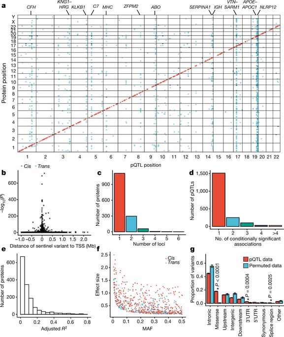 Genomic Atlas Of The Human Plasma Proteome Nature X Mol
