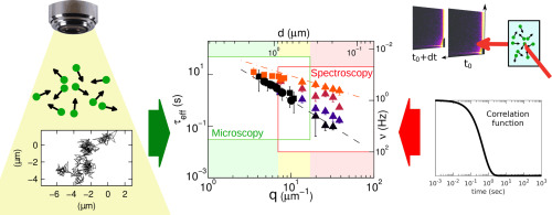 Characterization of the dynamics of interfaces and of interface ...