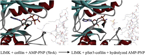Recent advances in the rational design and development of LIM kinase ...