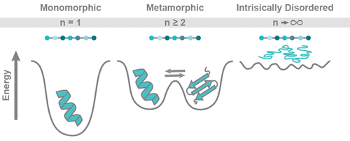 Unfolding the Mysteries of Protein Metamorphosis.,ACS Chemical Biology ...
