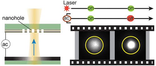 High-Resolution Large-Ensemble Nanoparticle Trapping with ...
